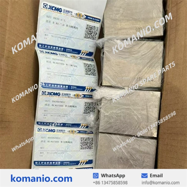 803069452 XCMG Check Valve Group